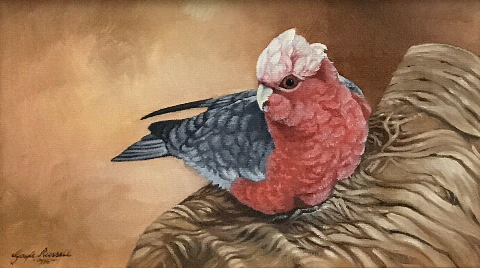 “Galah” Oil Painting By Gayle Russell | The McCorry Collection