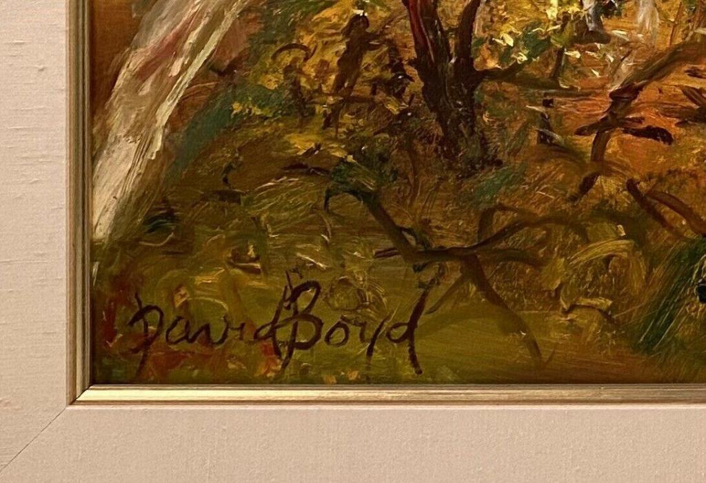David Boyd The Apple Tree in Bush | The McCorry Collection