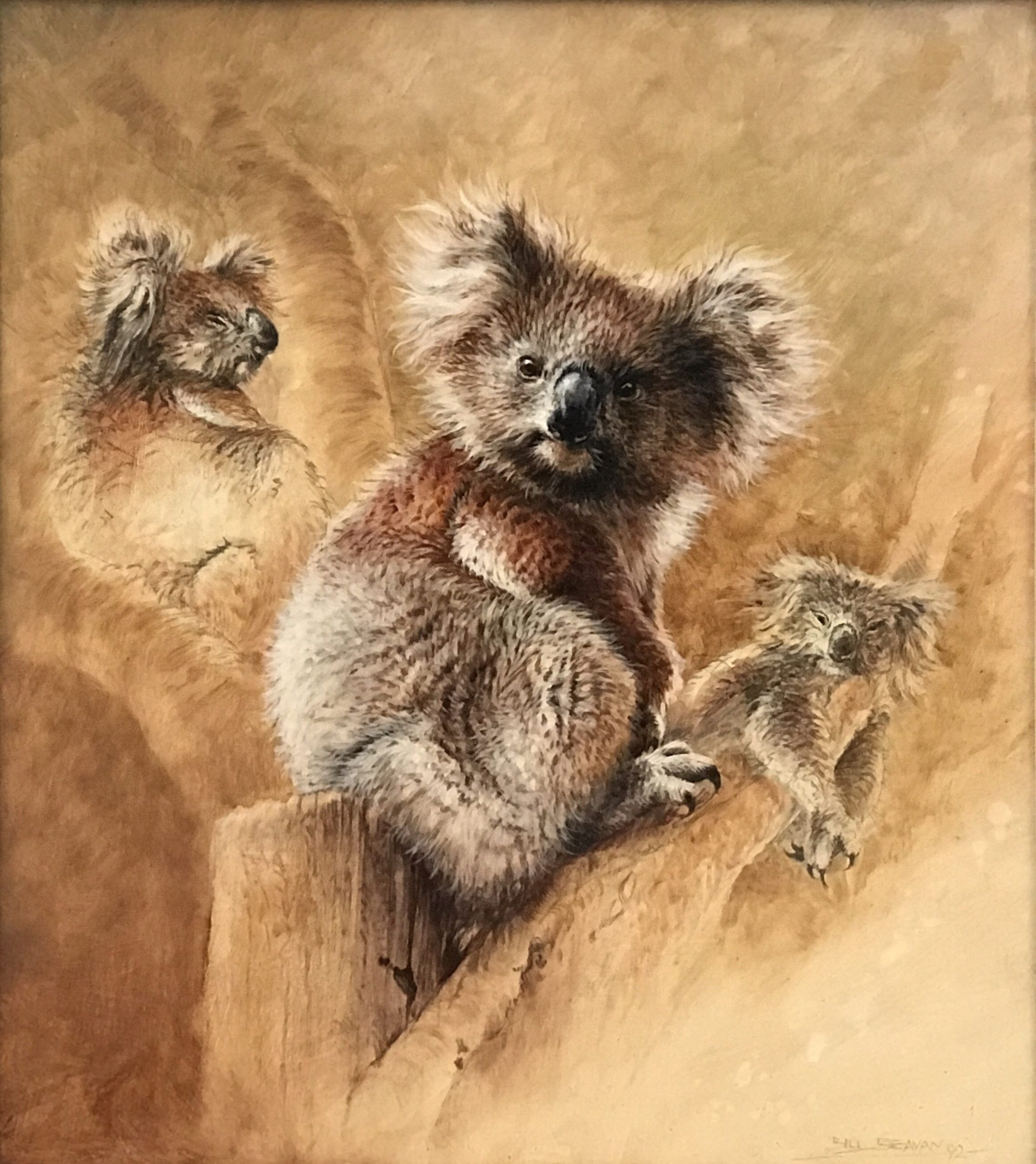 Bill Beavan (South African/Aust 1944-2005) Biography